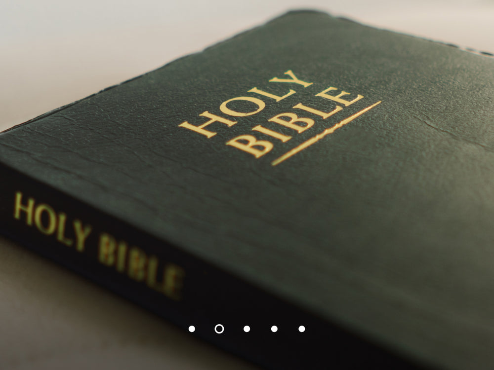 New Believer – The Disciple Daily